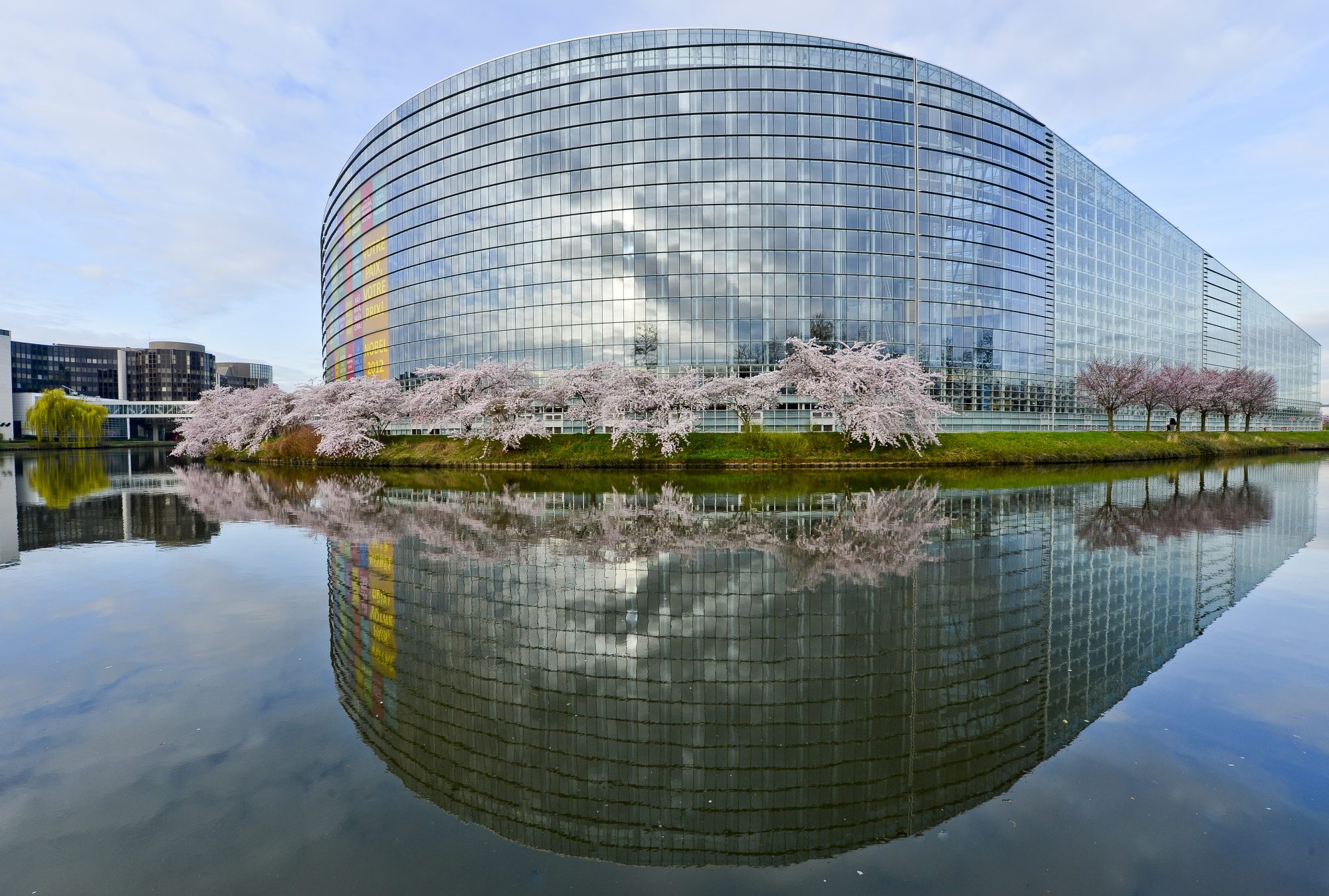 Für ein starkes Europa / For a strong Europe - Paneuropa